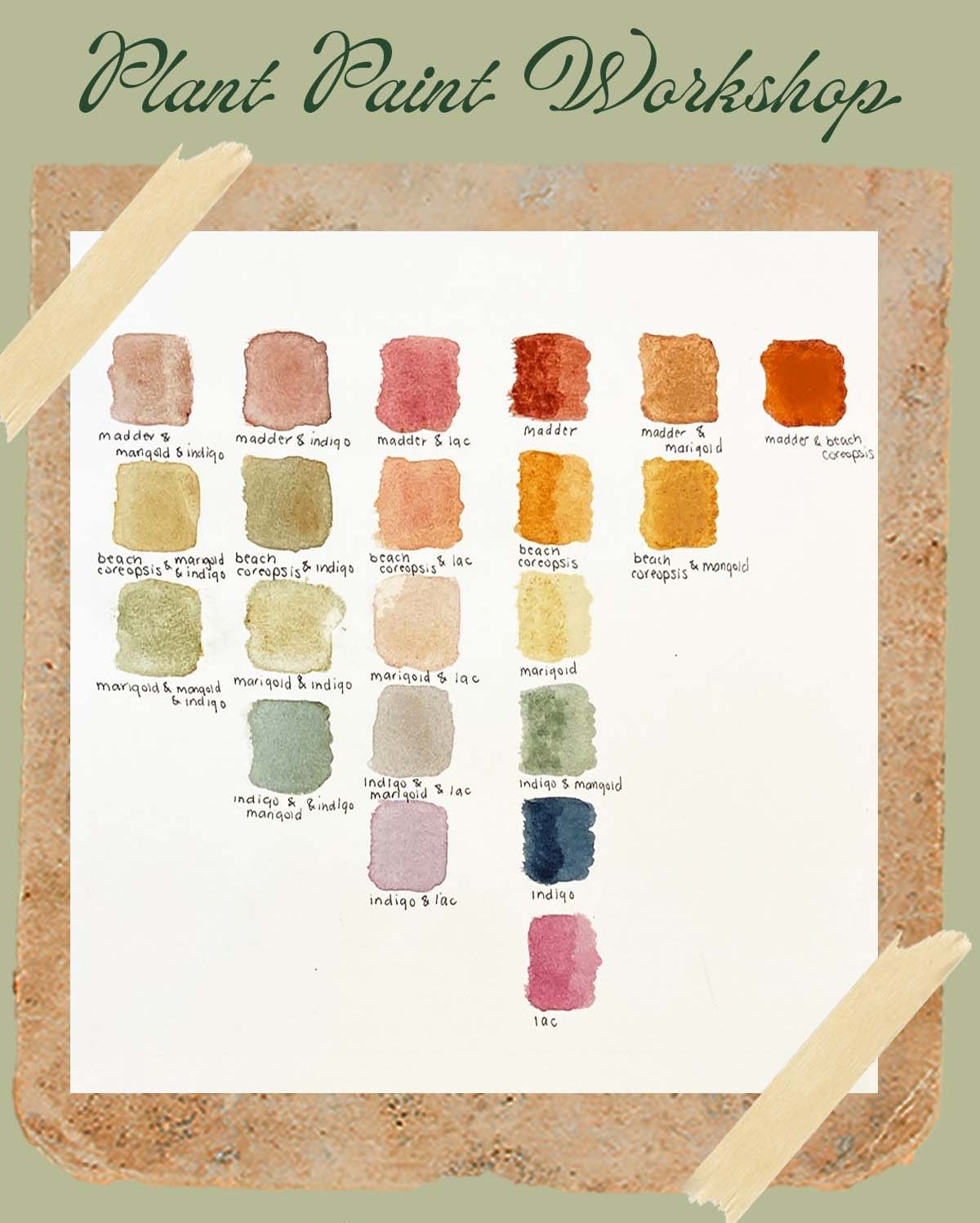 Plant Paint Workshop – Rootedbotanics